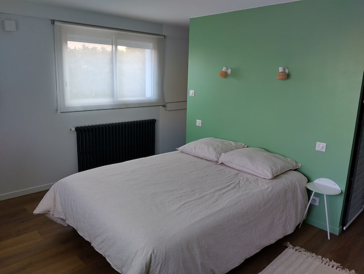 Chambre Tout Confort Avec Salle D'eau Privative. - Cenon