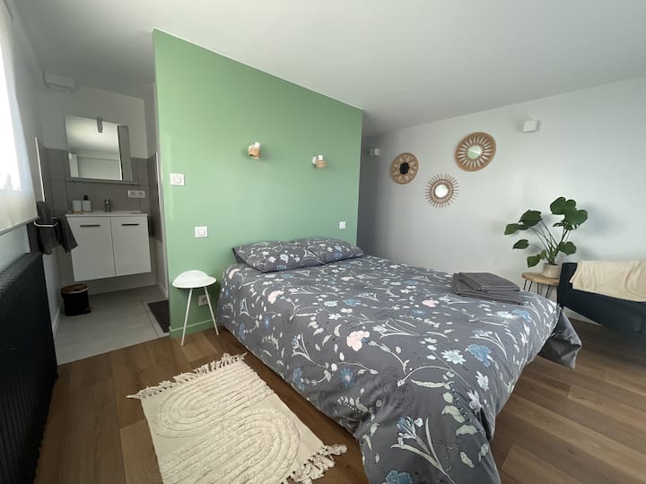 Chambre + Salle D'eau Privative Chez L'habitant - Cenon