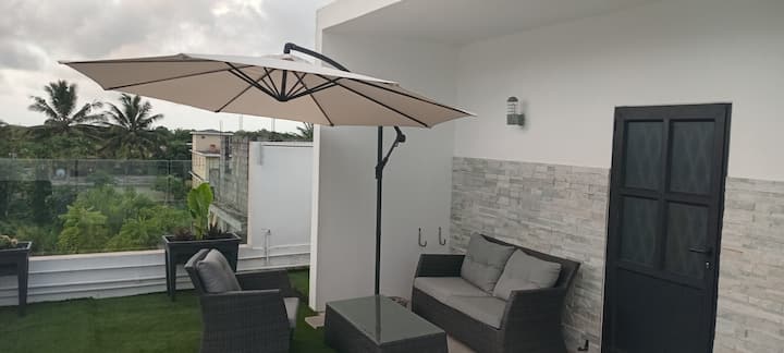 Colocasia Maison Blanche, Pamplemousses - Port Louis (Mauritius)