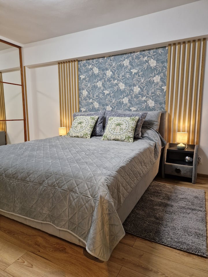Adina C1 - Deluxe Apartment - Ploiești