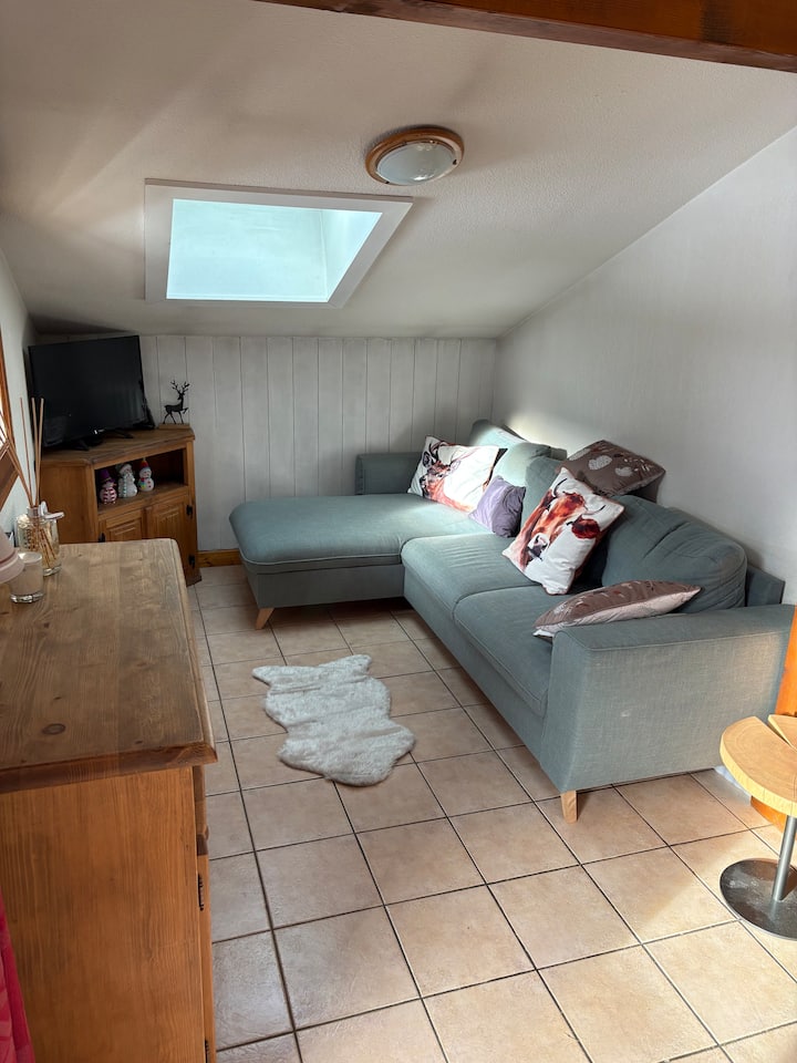 Appartement Plein Sud, Rénové, Bien Situé. - Praz-sur-Arly