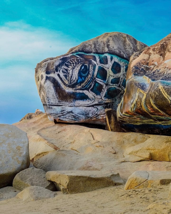 Seaview Turtle Cove 2room Wifi Netflix - Maleisië