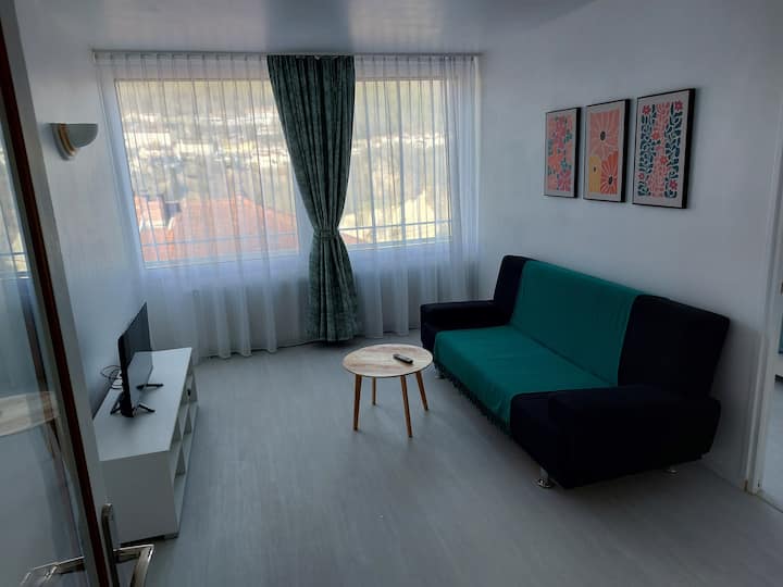 Les Logis Du Miqui 2 - Saint-Claude