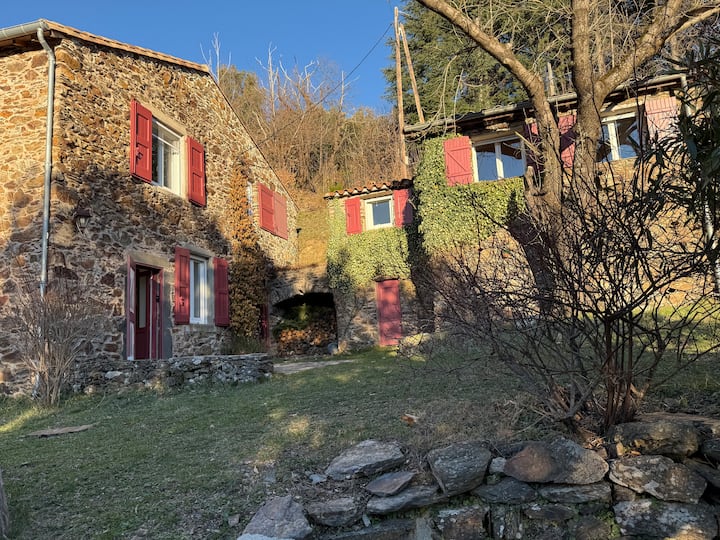 La Bellevue - Mont Aigoual