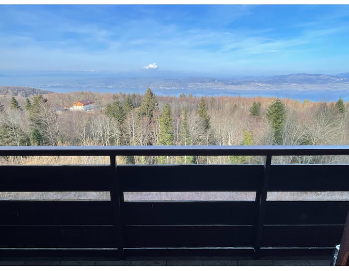 Apparemment En Bas Des Remonter Mécanique - Saint-Gingolph, Suisse