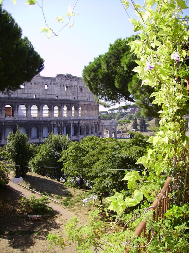 Coloseum Room With Breathtaking Views - Rome