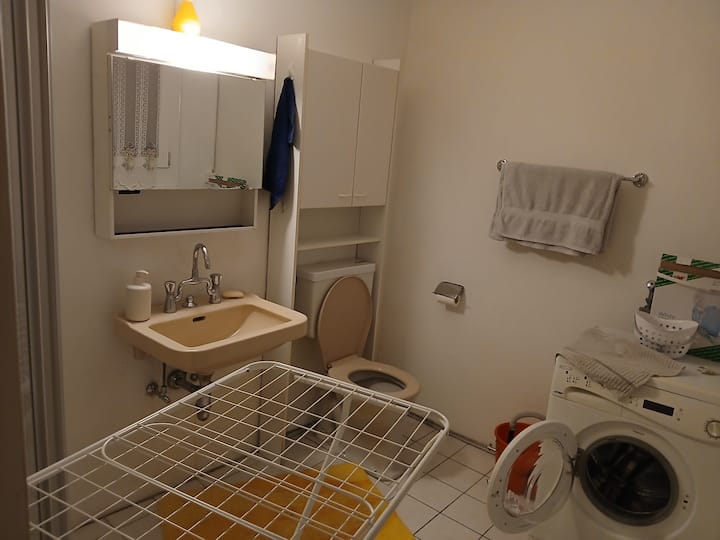 Appartement Traditionnel A Aigle - Monthey