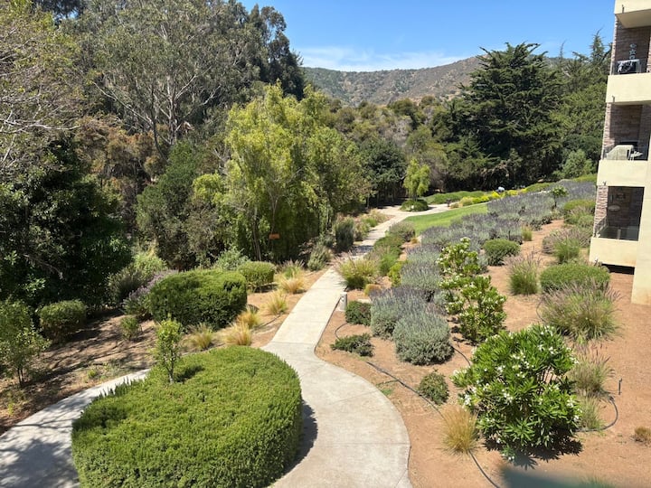 Departamento Acogedor En Papudo Full Equipado - Papudo