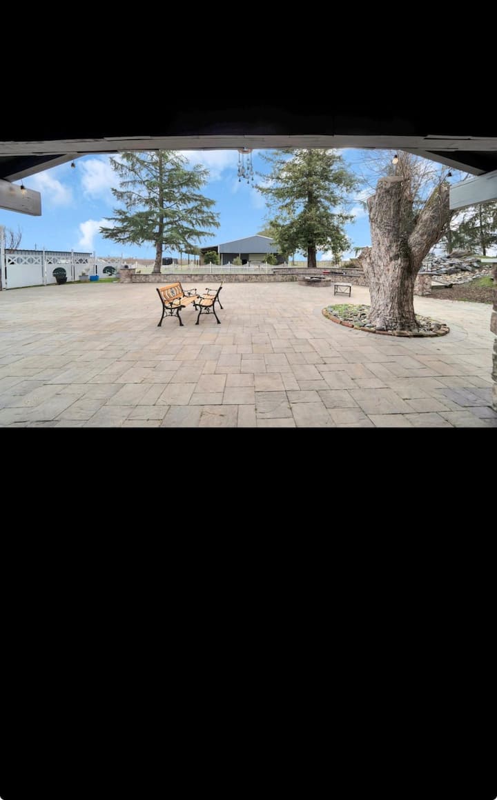 Party Outside From City Very Close To 99 Freeway - Lodi, CA