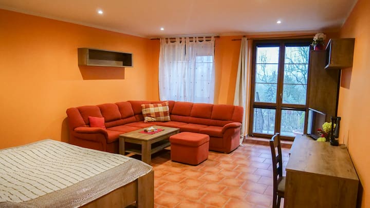 Apartmán S Terasou č.1 - Louny