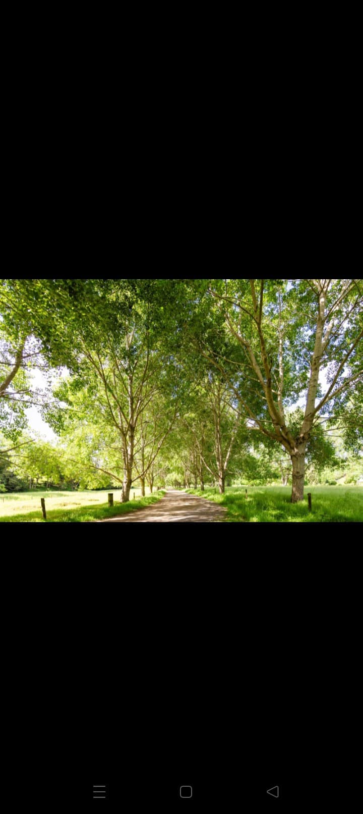 Self-contained Campers And Caravans Only. - Paihia