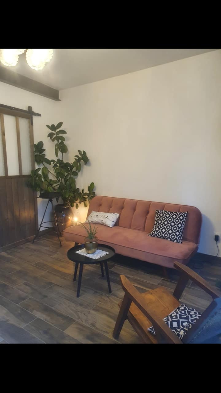 Appartement Dans Maison Avec Patio - Tarascon-sur-Ariège