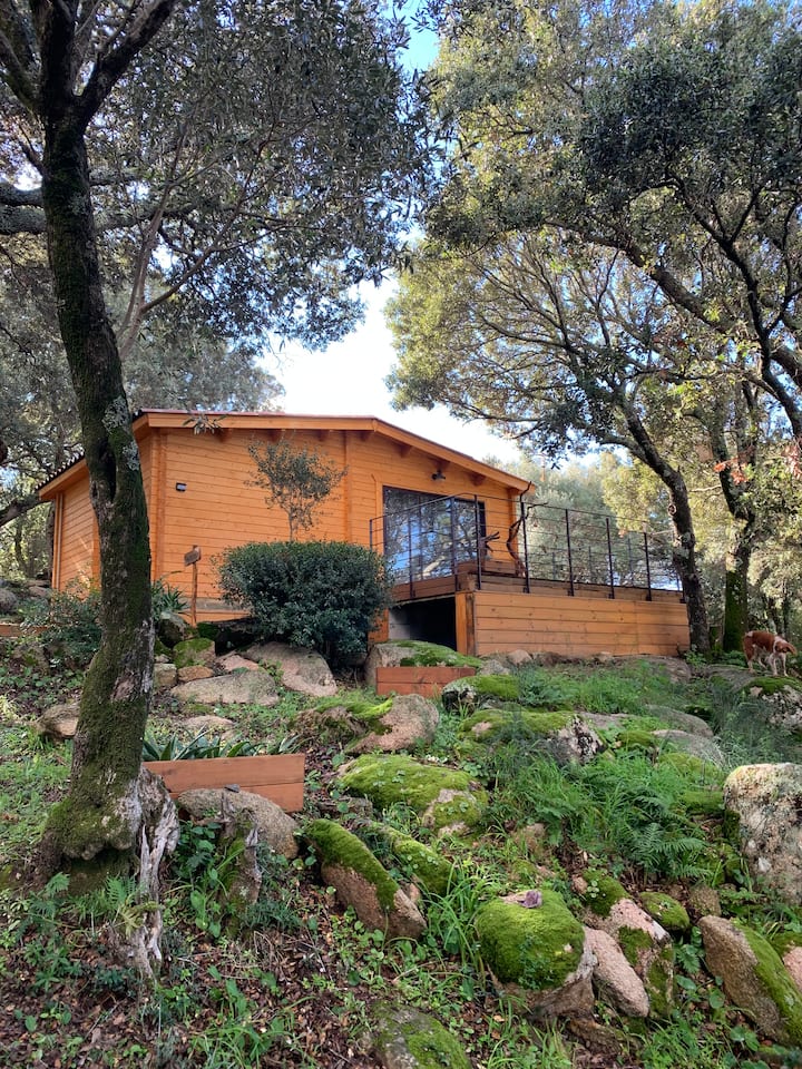 Chalet Au Cœur Du Maquis Corse - Tizzano