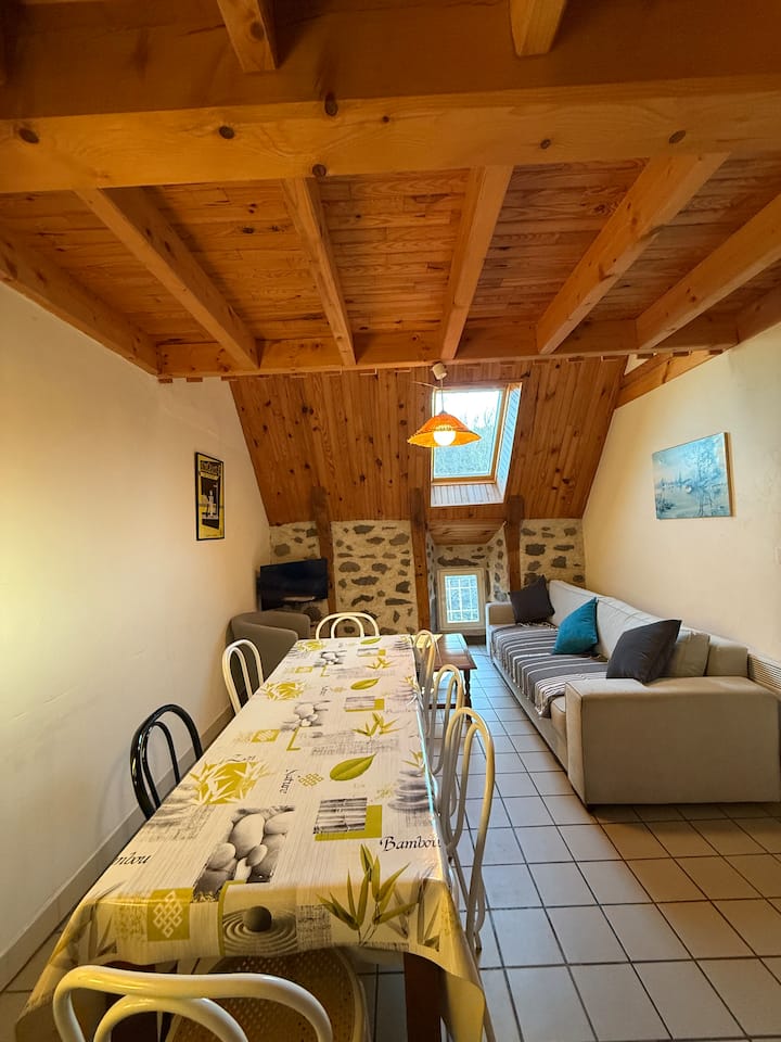 Gîte Sérénité - Le Lioran (Super Lioran)