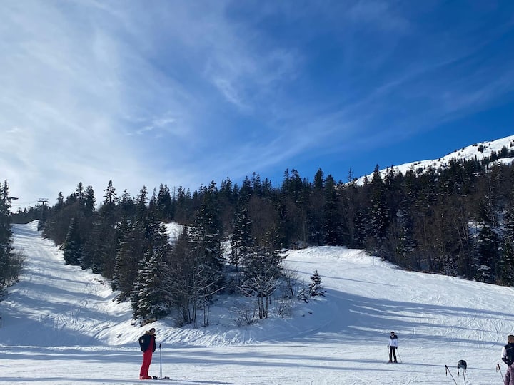 Appartement 4 à 6 Pers Dans Une Grange Rénovée. - Lescheraines