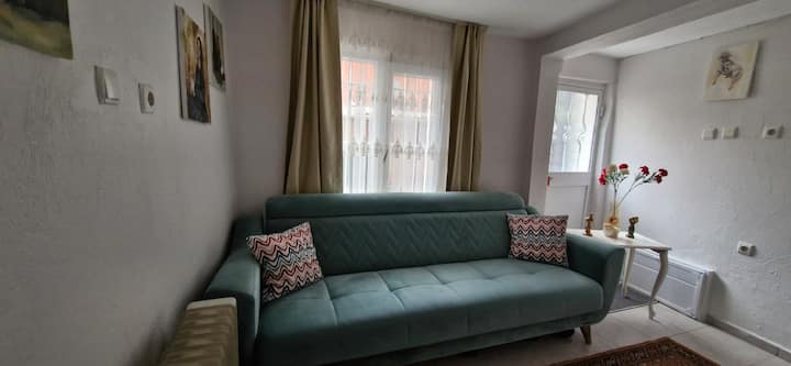 Konak'ta Müstakil ,Dubleks, Tarihi Taş Ev - Bornova