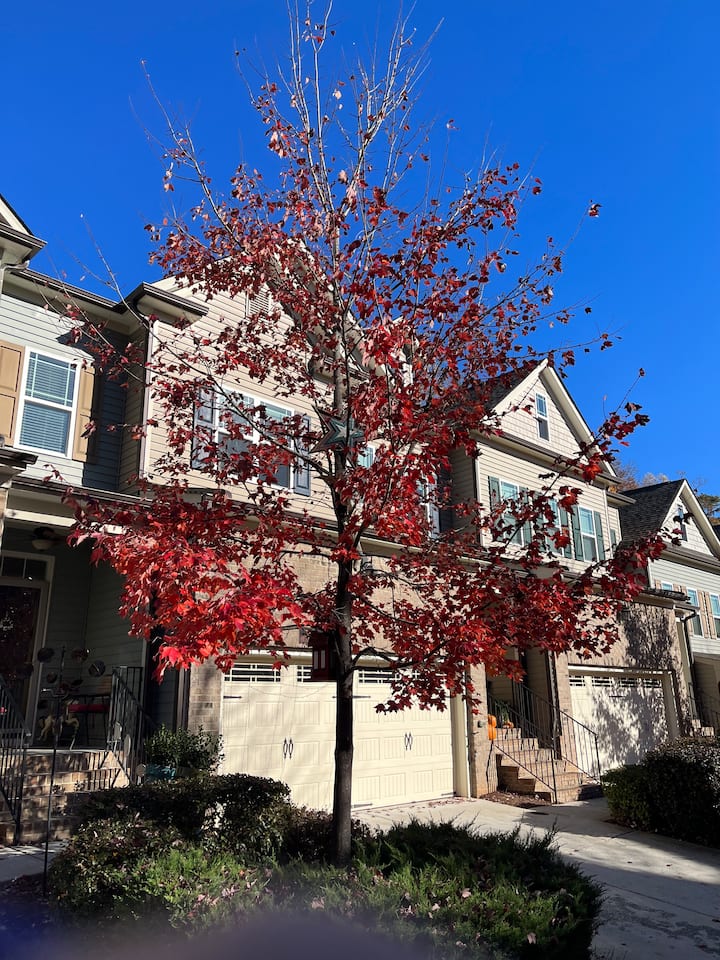 Rose Walk At University Lake - Chapel Hill, NC