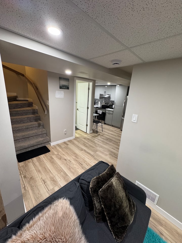 Cozy One Bedroom In A Modern Basement* - Winnipeg