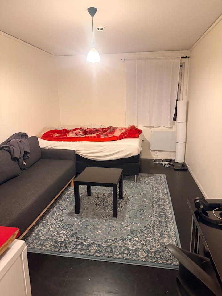 An Apartment In The Heart Of Kristiansand City. - Kristiansand