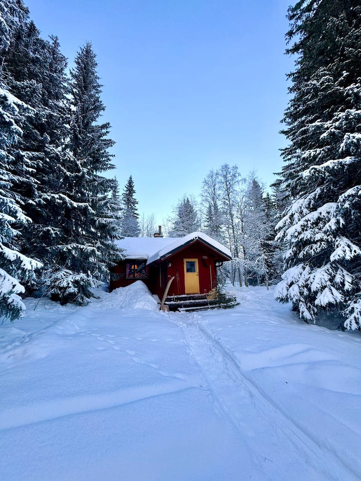 Cozy Cabin Undersåker - Åre