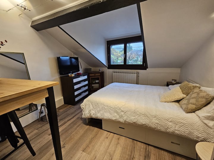 Studio Proche Centre-ville - Aix-les-Bains