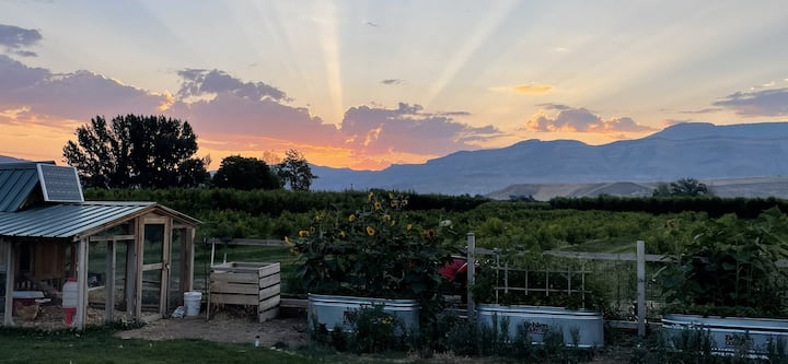 Stone Fruit Farm: Luxury Suite, Orchards, Views - Palisade, CO