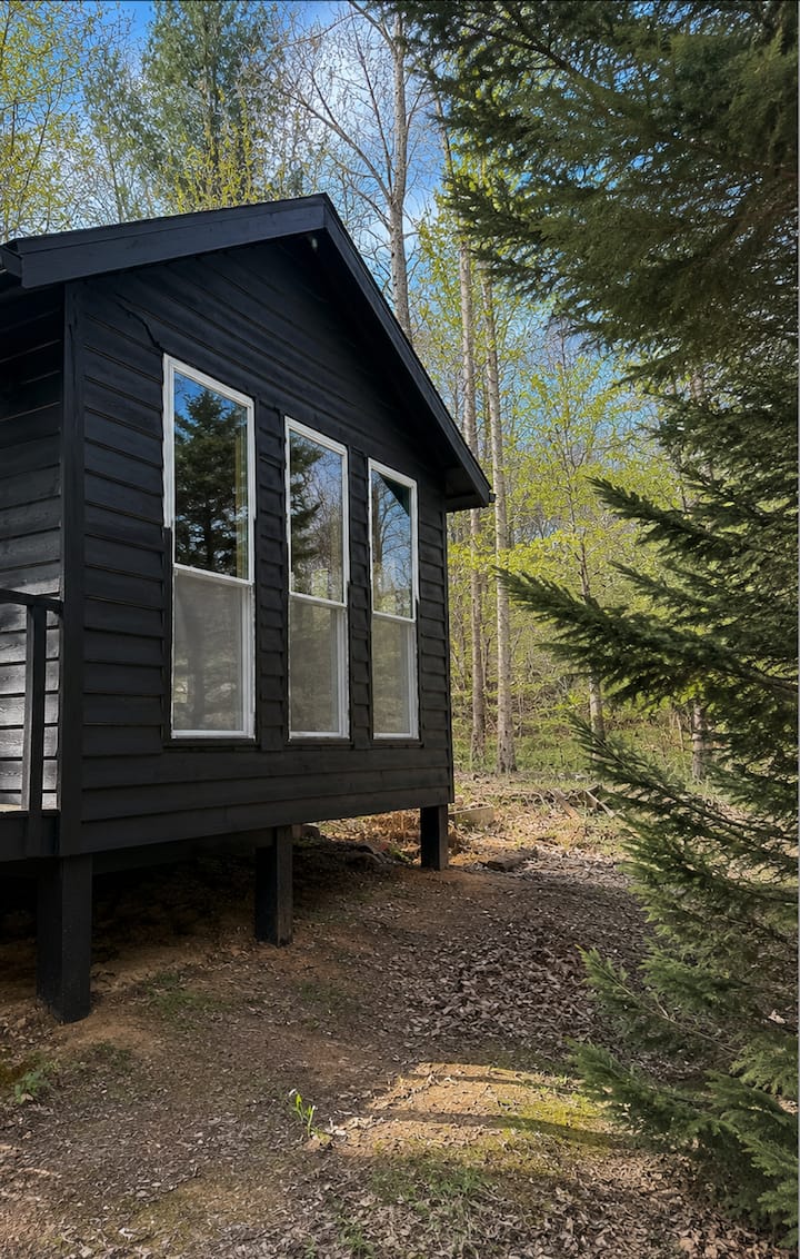 Forest View Retreat #3 - 댈러스