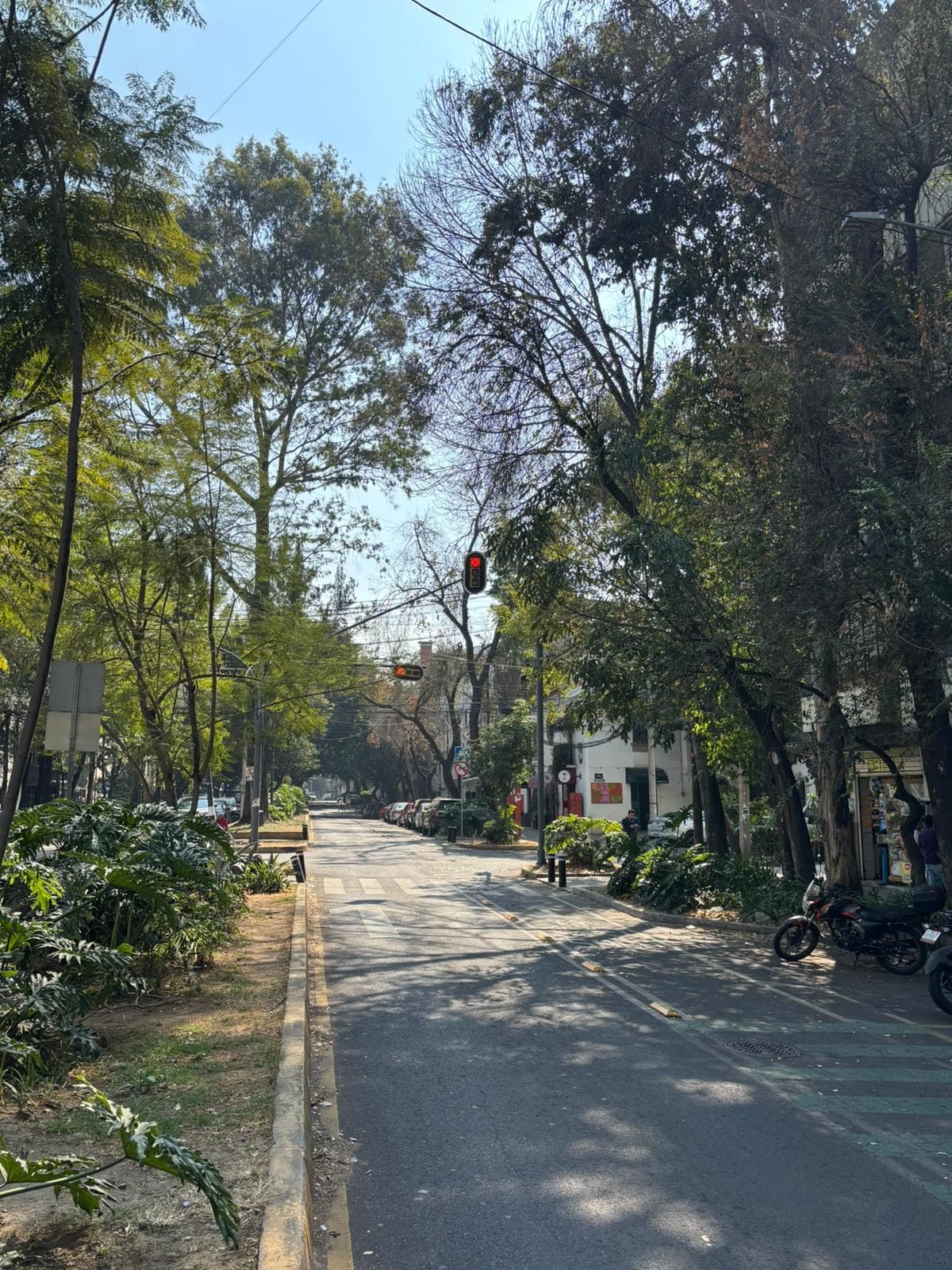 Private Rooftop Room · Urban Escape - Flats for Rent in Mexico City ...