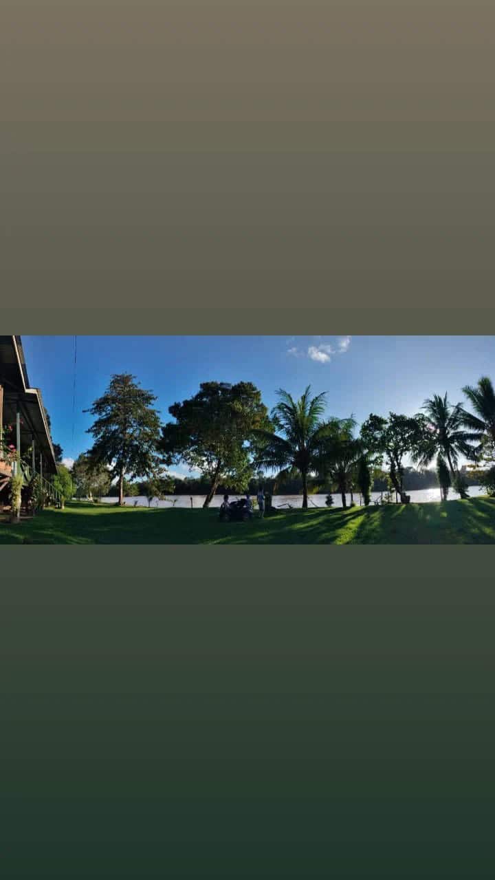 Let's Explore The Kinabatangan River In Sabah. - Kinabatangan