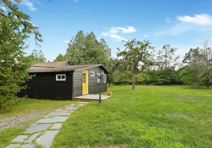 Woodstock Stars - Woodstock, NY