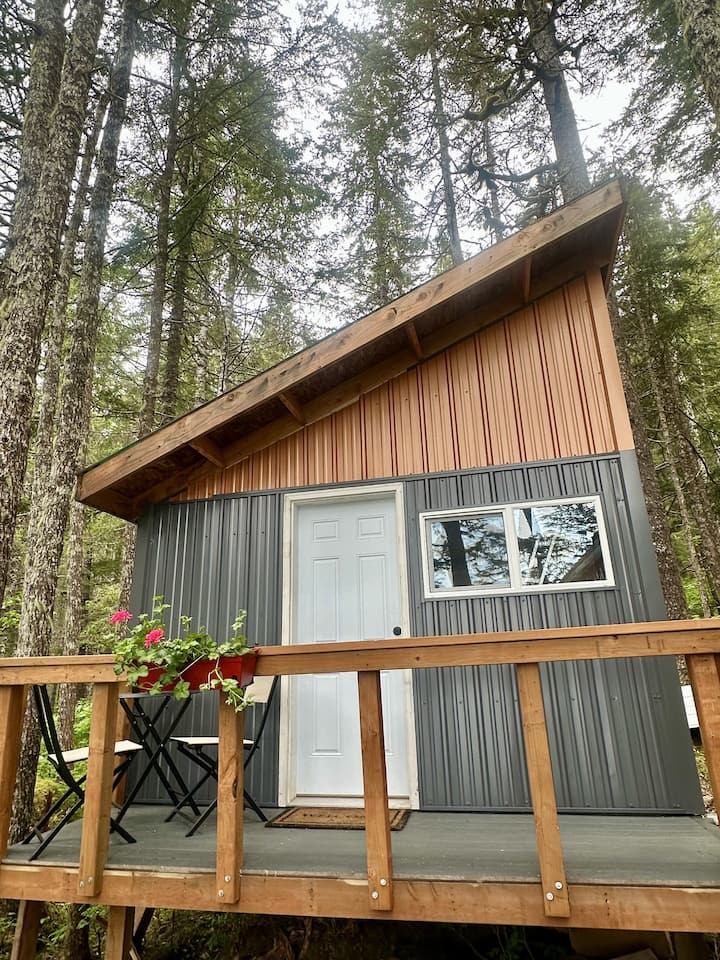 Ellsworth Glacier View Cabin #1
(Koblenz) - Seward, AK