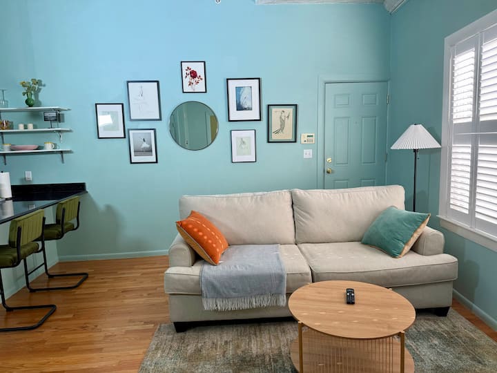 Cozy High-ceiling Apartment - Cambridge, MA