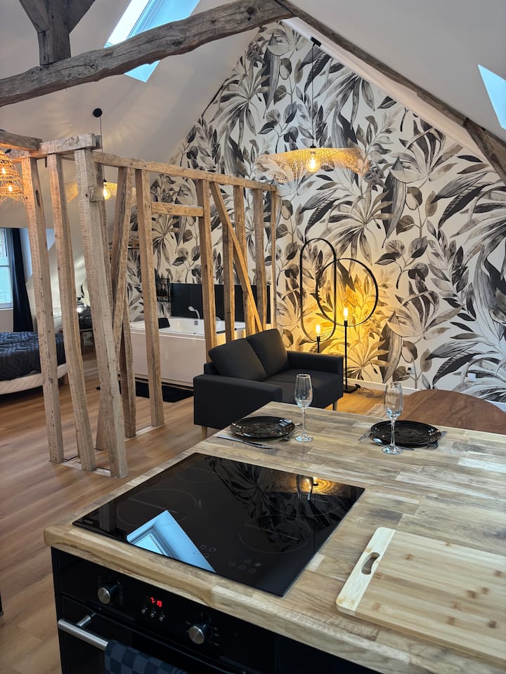 Appartement Thamarys Balnéo Bi-place Avec Lit Rond - Pierrefonds