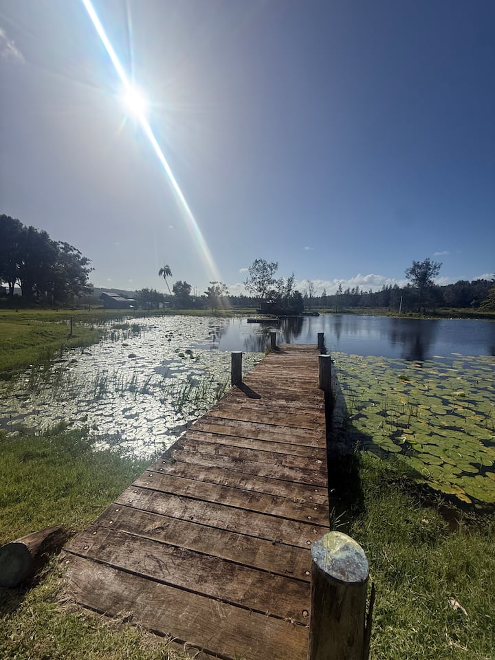 Private Property Camping - Bangalow