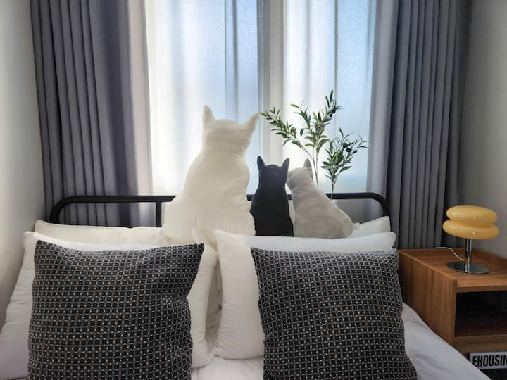 [오픈특가] 고대병원 도보 5분 / 낙산공원 Ddp 명동 광화문 성수 홍대  30분 - Seoul