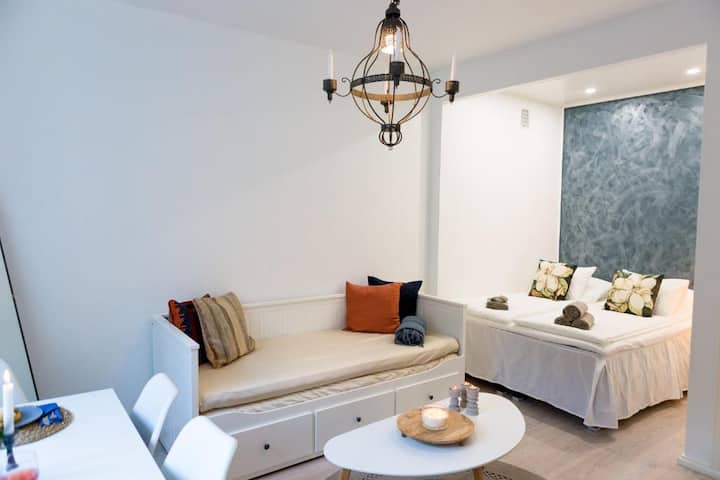 Cozy & Stylish Downtown Studio For Four Guests - Tampere