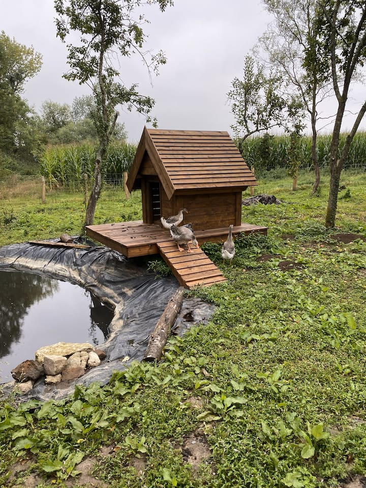 Gîte Viking Xxl – Jusqu’à 14 Personnes - Forges-les-Eaux