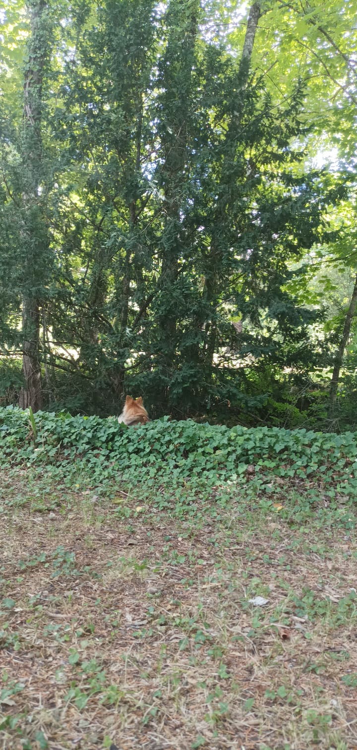 Lieu Extérieur De Fête - Ardèche