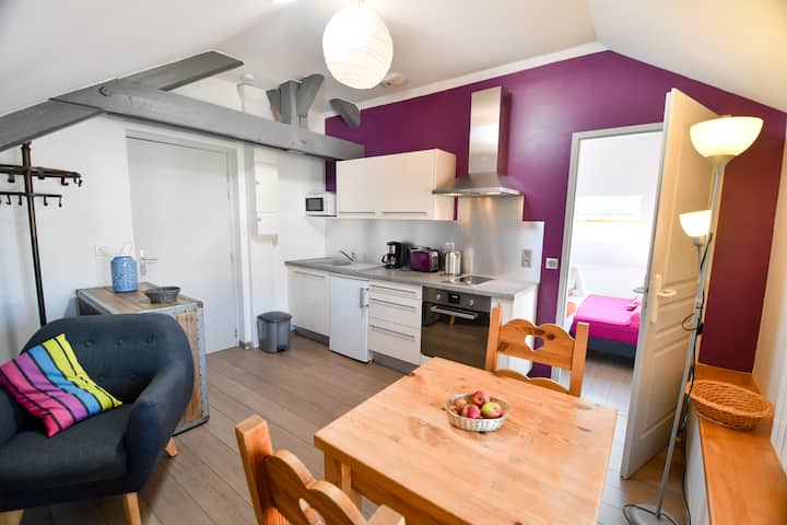 Appartement Mansardé Cœur D'aix Les Bains - Aix-les-Bains