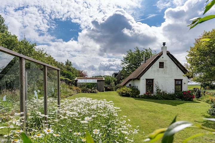 Vrijstaande Boerderij Naast Het Lauwersmeer - Friesland