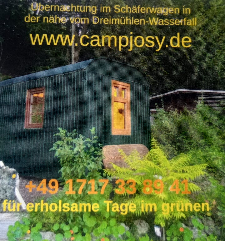 Campjosy - Daun