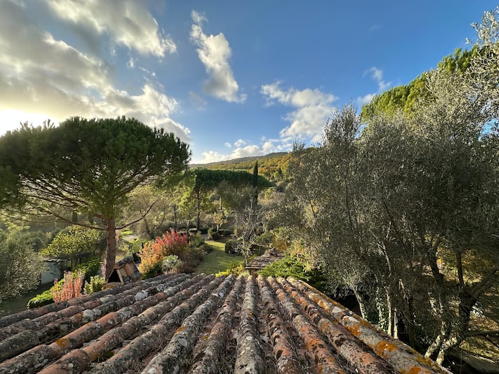 Villa Vasciano - Private Pool & Airco - Italy