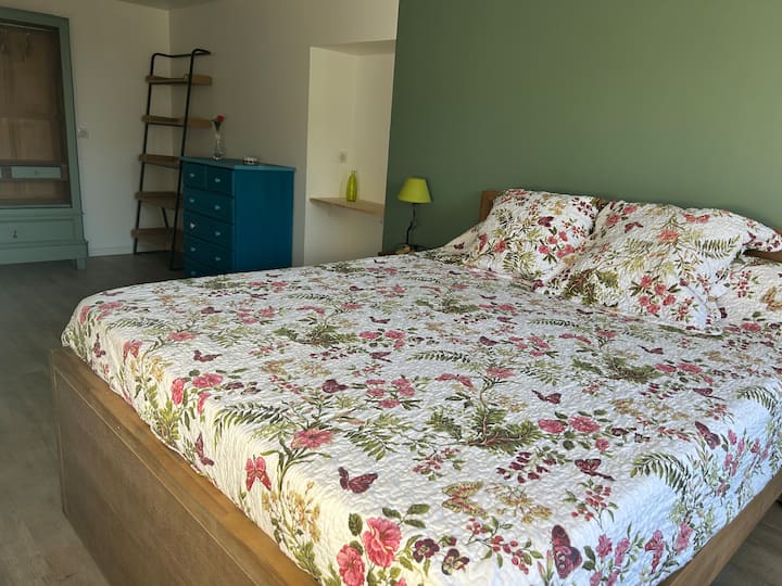 Maison Chambre à Louer Sdb Privée - Marmande