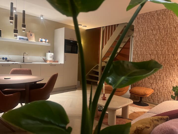 Onder De Markt Van Dokkum - Dokkum