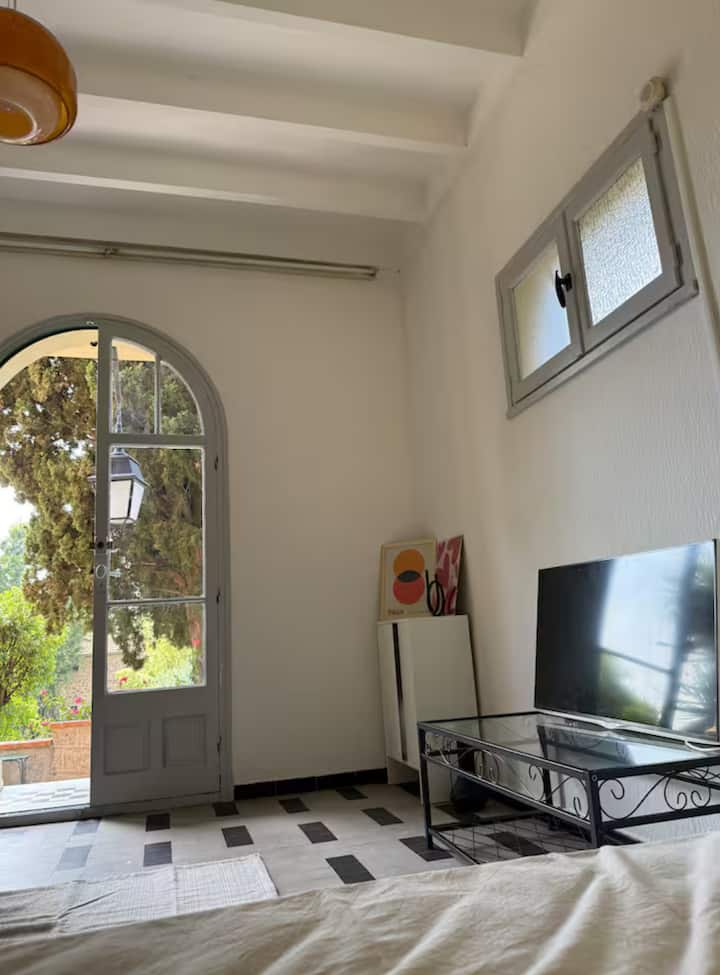 Studio Jardin Et Terrasse Cannes Proche Carnot - Cannes