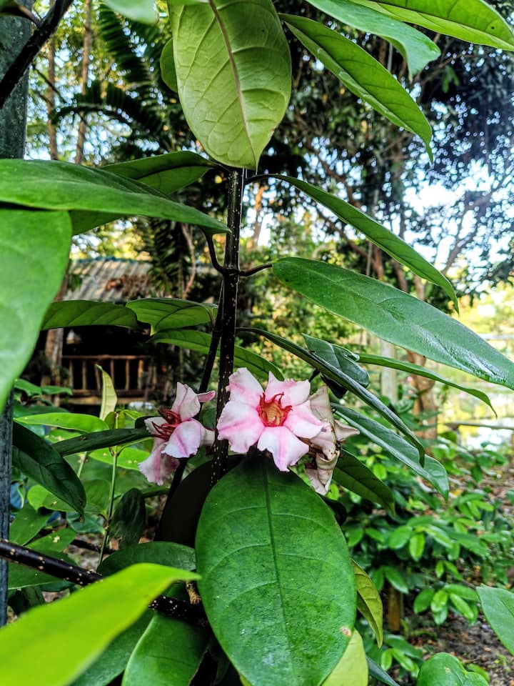 บ้านพักริมน้ำ 106 - Ko Pha Ngan