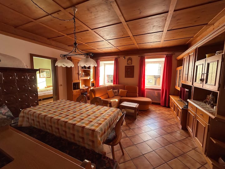 Nariana è Situato Nel Centro Di Ziano Di Fiemme. - Predazzo