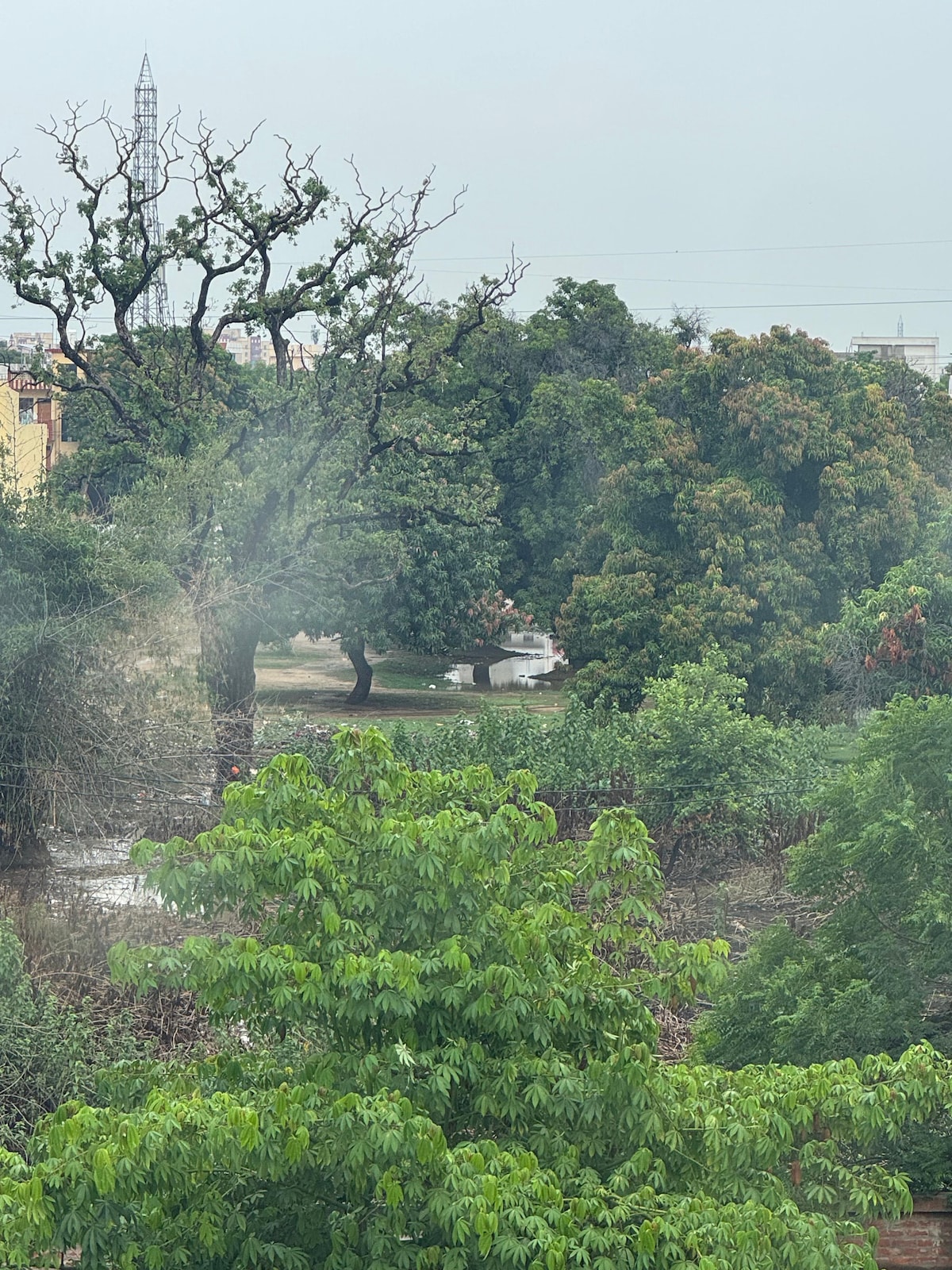 Alegría urbana - Casas en alquiler en Benarés, Uttar Pradesh, India ...