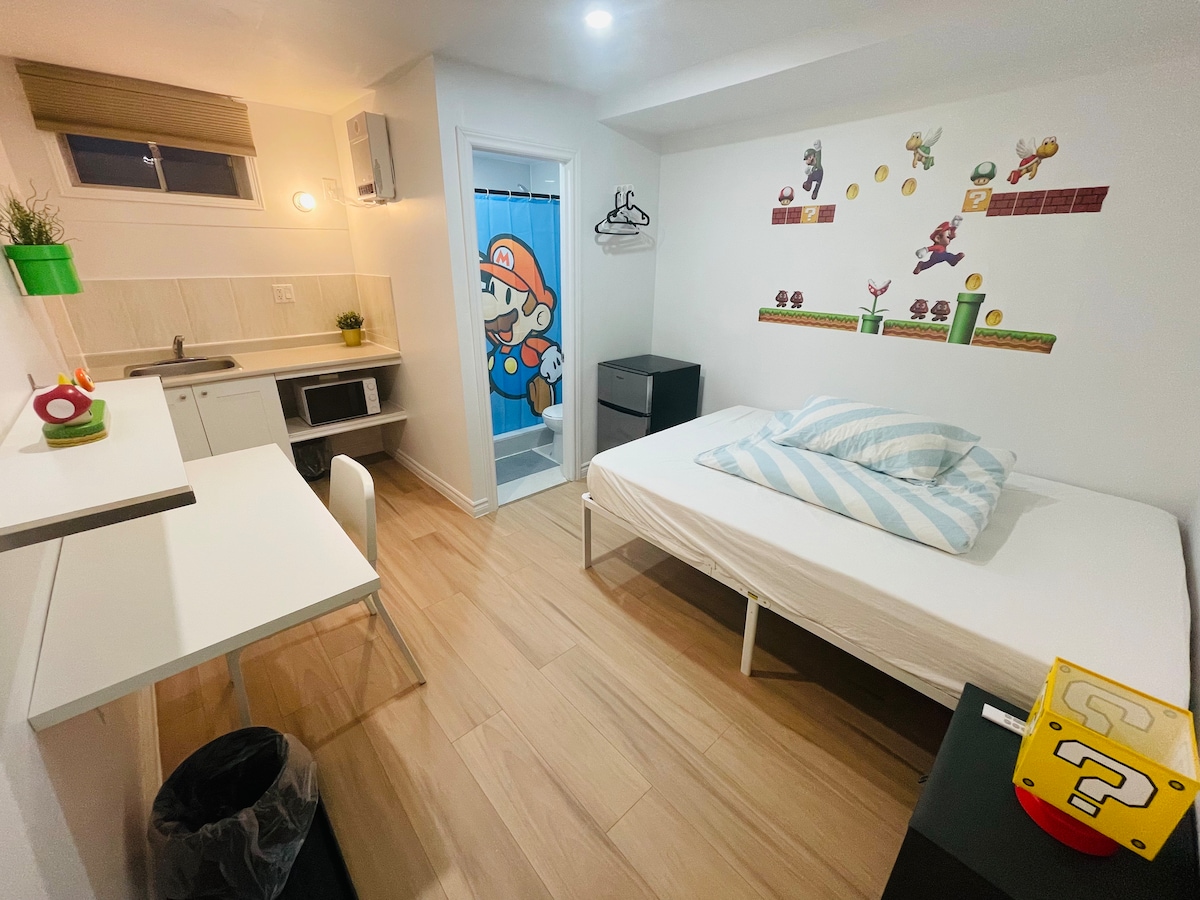 Super Mario Private Studio Downtown Toronto - Flats for Rent in Toronto ...