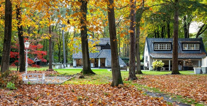 Forest Inn - Apeldoorn